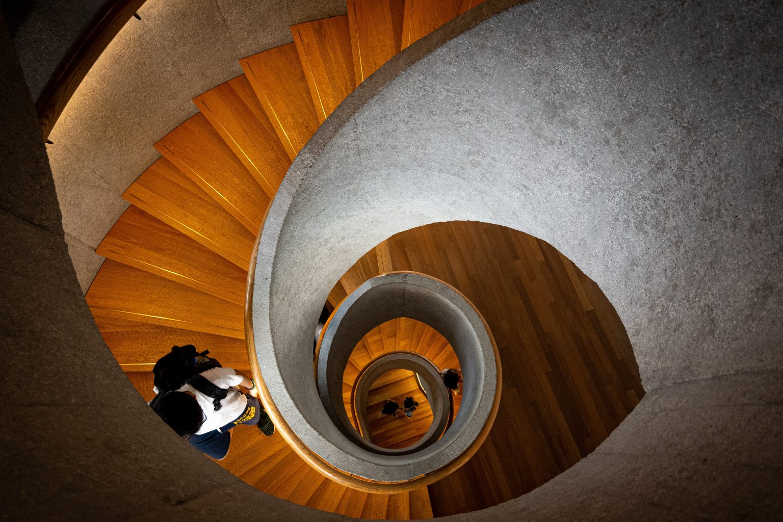 How to Become a Chief Data Officer (CDO): The Ultimate Guide - Bronson ...